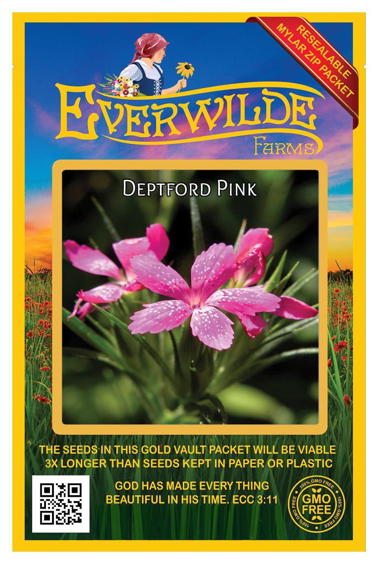 Everwilde Farms - 150 Easy-to-Grow Deptford Pink Planting Garden Flower ...