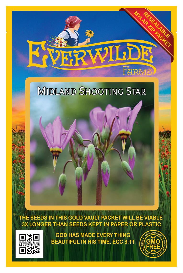 Everwilde Farms - 150 Midland Shooting Star Native Wildflower Seeds ...