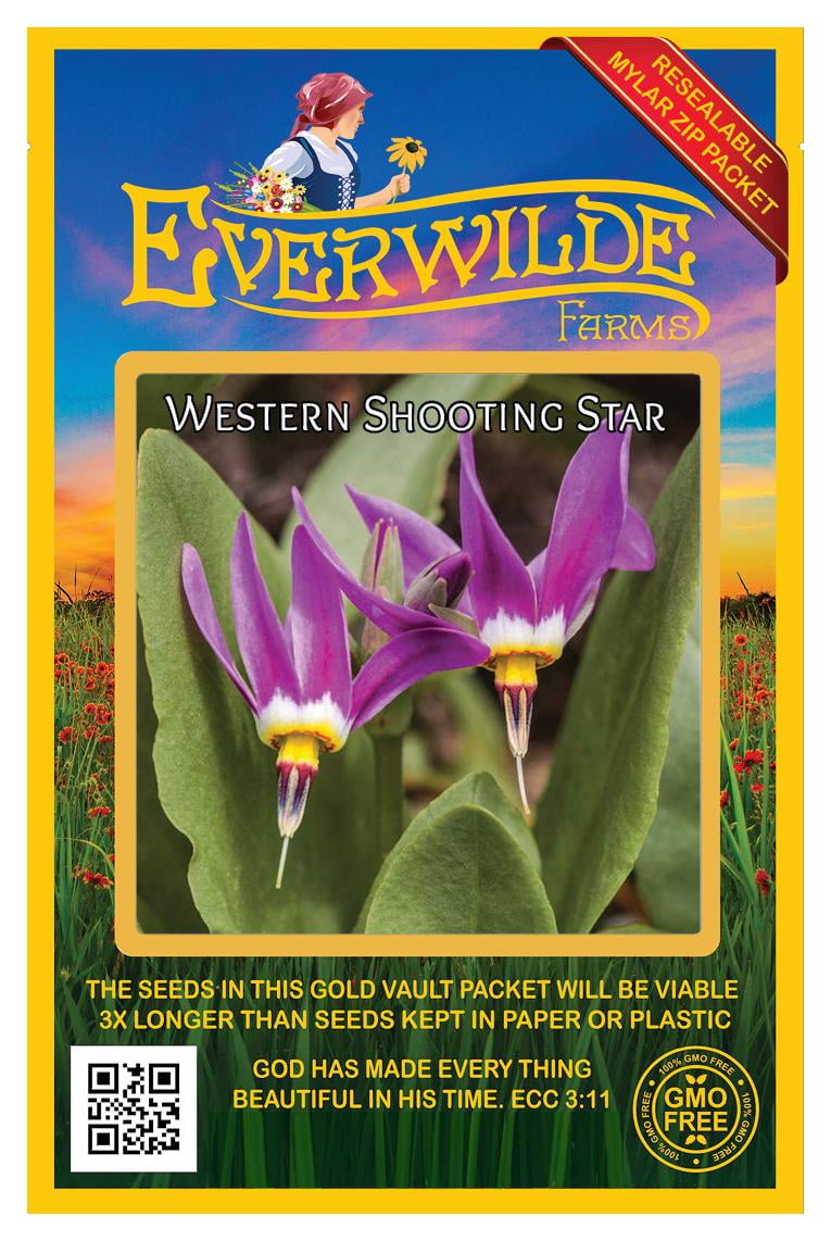 Everwilde Farms - 150 Western Shooting Star Native Wildflower Seeds ...