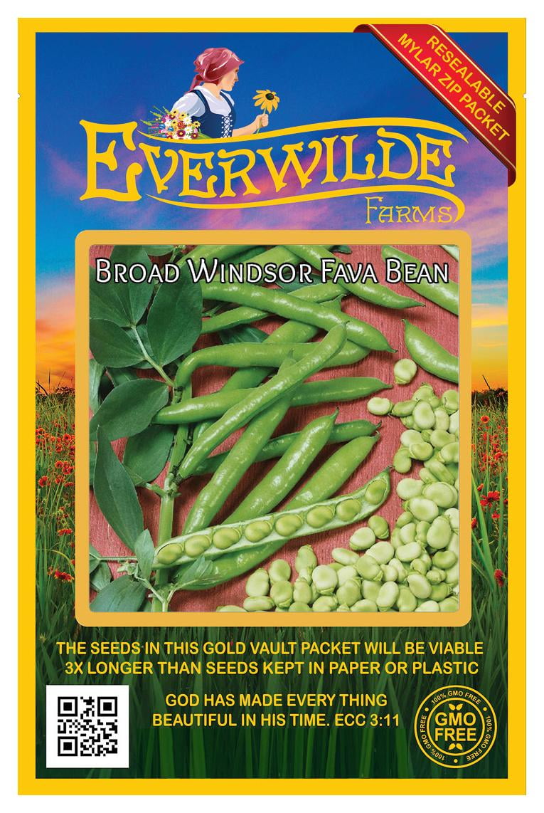 Everwilde Farms - 20 Heirloom Broad Windsor Fava Bean Seeds - Gold ...