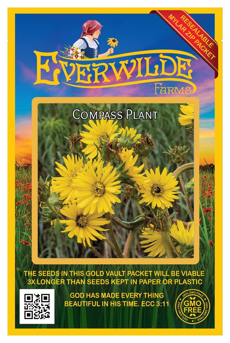 Everwilde Farms - 20 Compass Plant Native Wildflower Seeds - Gold Vault ...