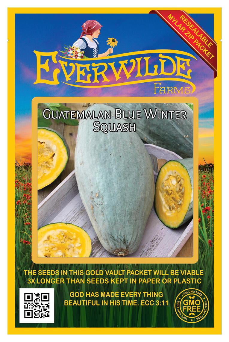 Everwilde Farms - 20 Guatemalan Blue Winter Squash Seeds - Gold Vault ...