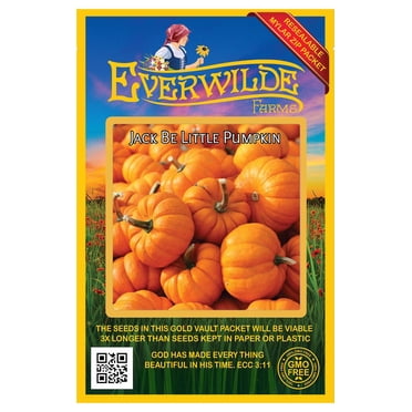 Everwilde Farms Jarrahdale Pumpkin Seeds, 20 Seeds, Slate Blue ...