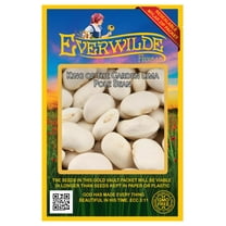 Early Thorogreen Bush Lima Bean - 1/2 OZ ~35 Seeds - Heirloom Open ...