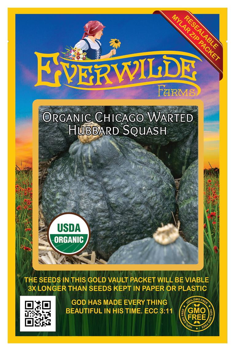 Everwilde Farms - 20 Organic Chicago Warted Hubbard Winter Squash Seeds ...