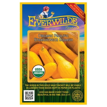 Everwilde Farms - 40 Prolific Straightneck Summer Squash Seeds - Gold ...