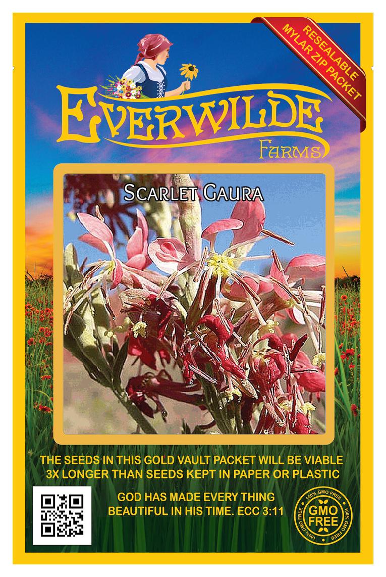 Everwilde Farms - 20 Scarlet Gaura Native Wildflower Seeds - Gold Vault ...