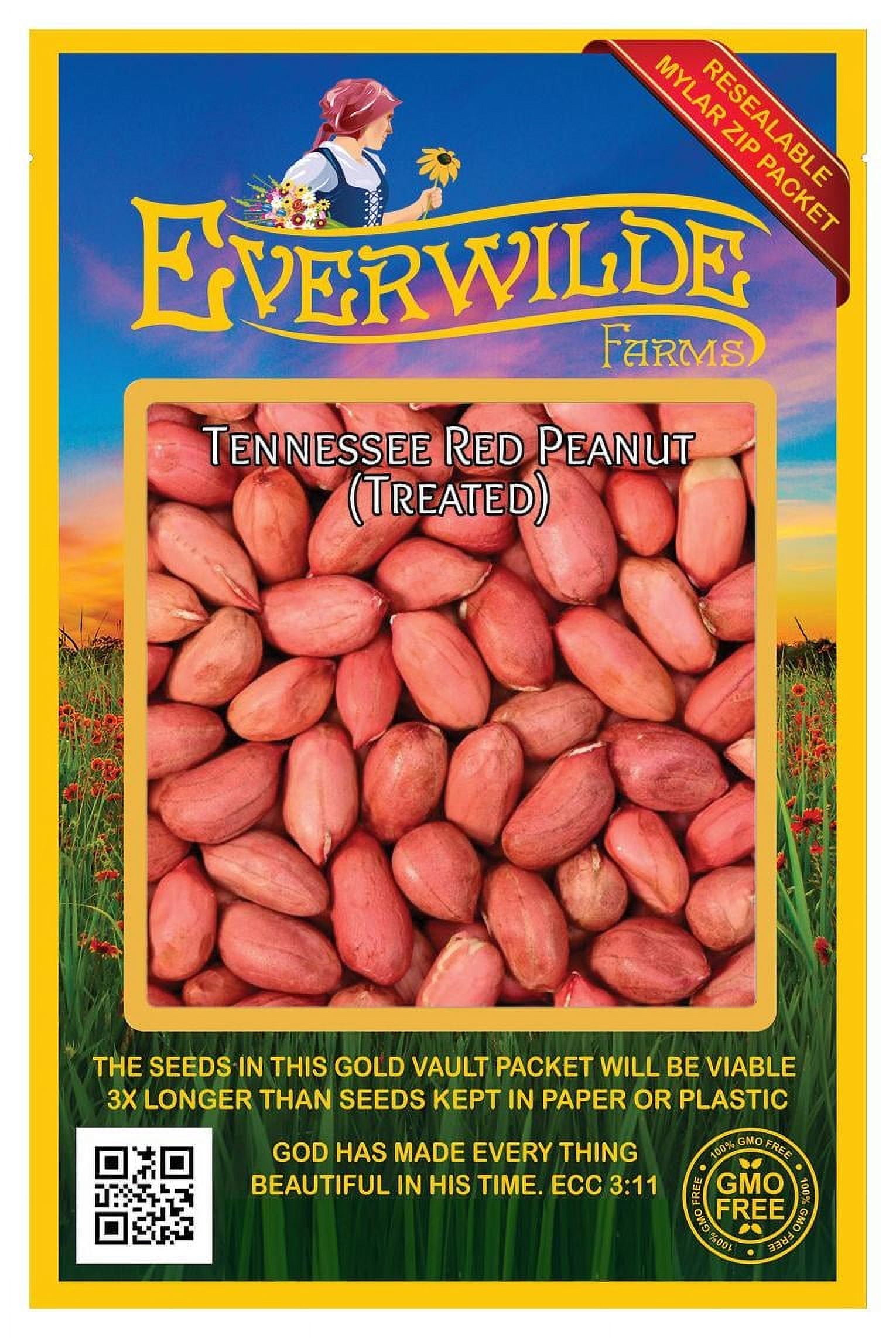 Everwilde Farms - Heirloom Tennessee Red Peanut Seeds, 20 Count, Jumbo ...