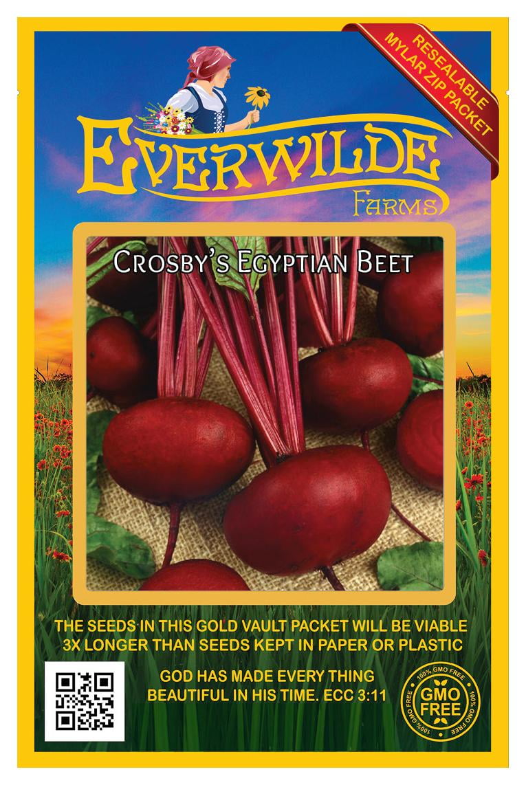 Everwilde Farms - 200 Crosby's Egyptian Beet Seeds - Gold Vault Jumbo ...