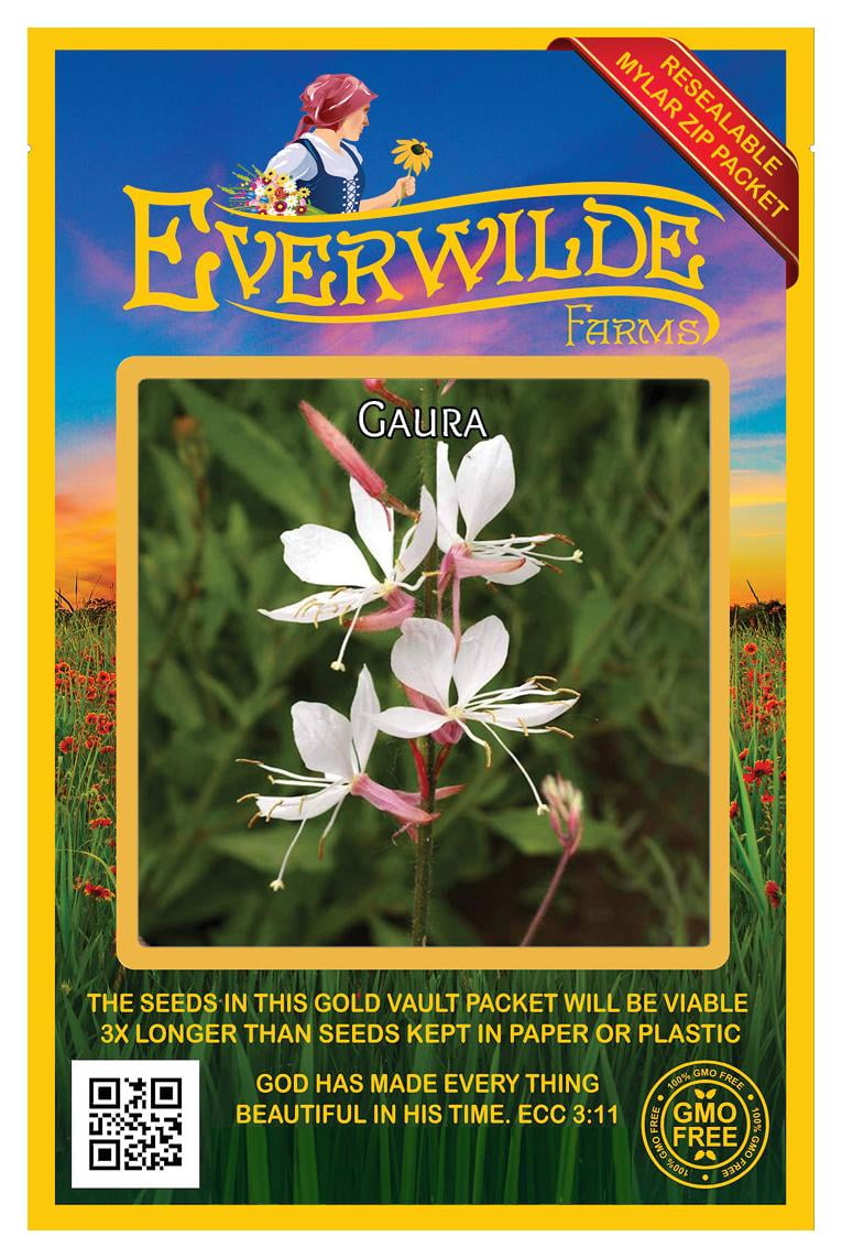 Everwilde Farms - 200 Gaura Native Wildflower Seeds - Gold Vault Jumbo ...