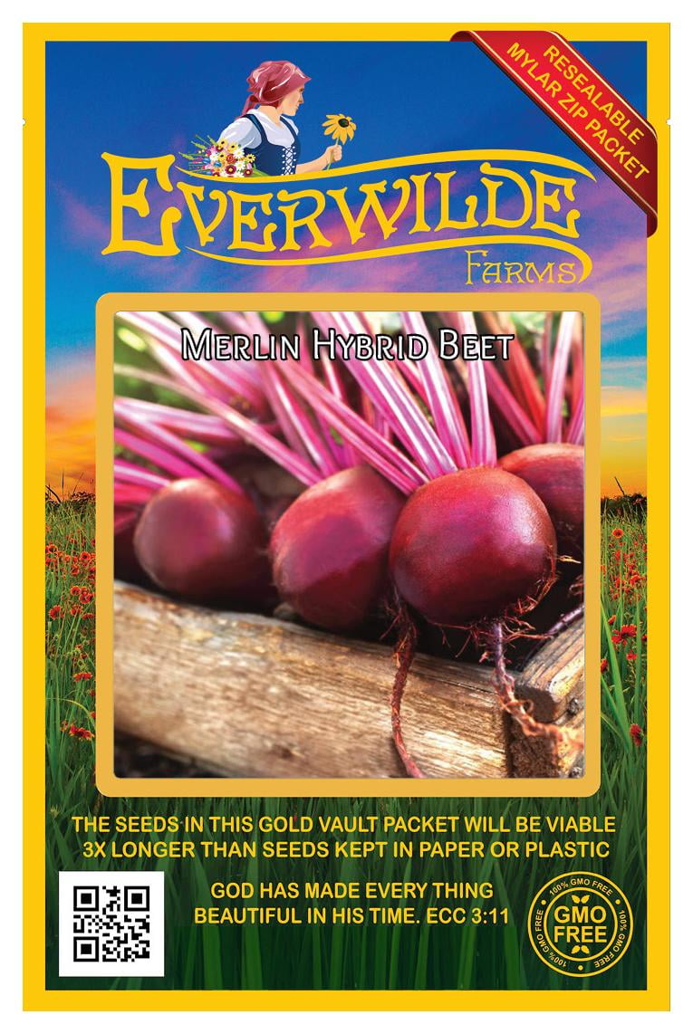 Everwilde Farms - 200 Merlin Beet Seeds - Gold Vault Jumbo Bulk Seed ...