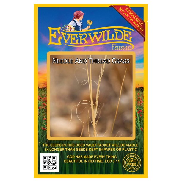 Everwilde Farms - 200 Needle And Thread Grass Native Grass Seeds - Gold Vault Jumbo Bulk Seed ...