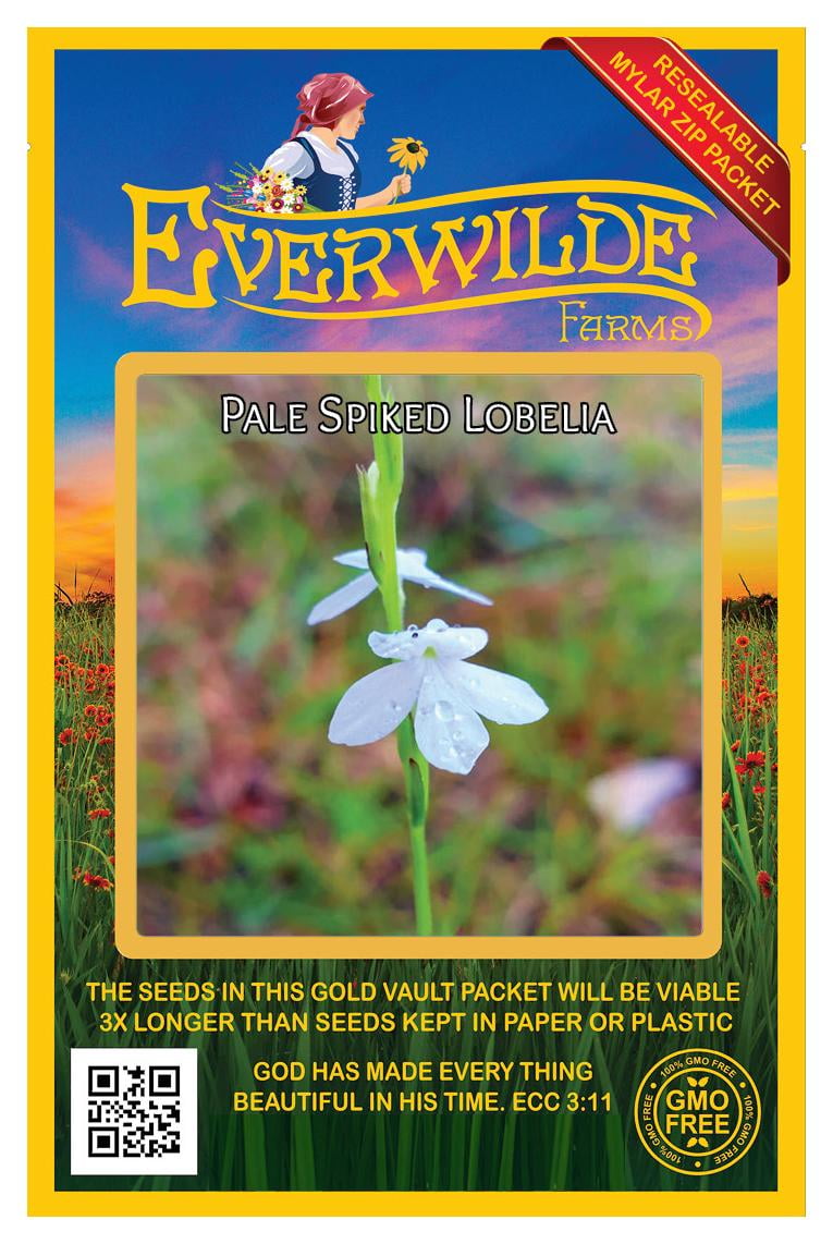 Everwilde Farms - 200 Pale-Spiked Lobelia Native Wildflower Seeds ...