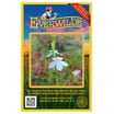Everwilde Farms - 2000 Great Blue Lobelia Native Wildflower Seeds ...