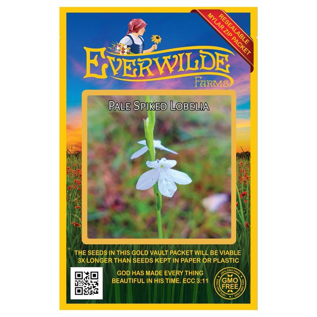 Everwilde Farms - 200 Pale-Spiked Lobelia Native Wildflower Seeds ...