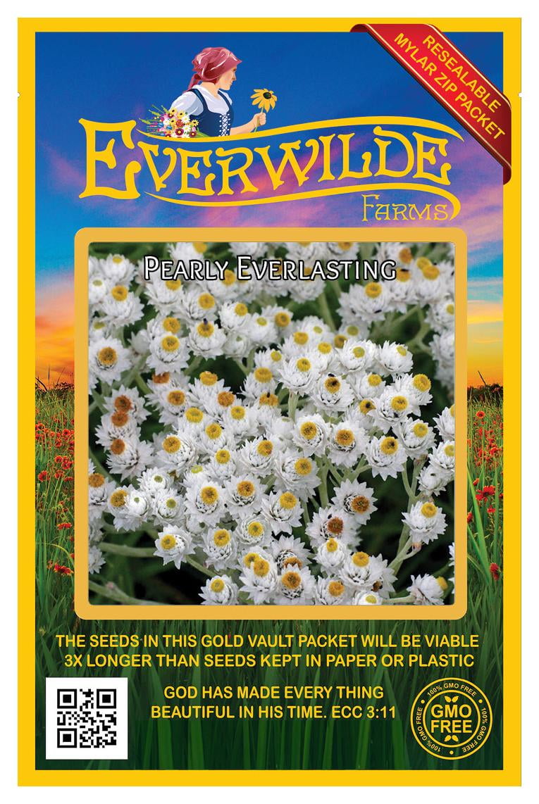 Everwilde Farms, 200 Pearly Everlasting Wildflower Seeds, Long-Lasting ...