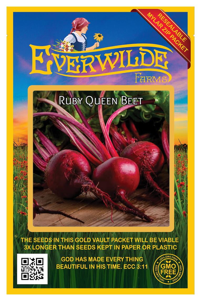 Everwilde Farms - 200 Ruby Queen Beet Seeds - Gold Vault Jumbo Bulk ...