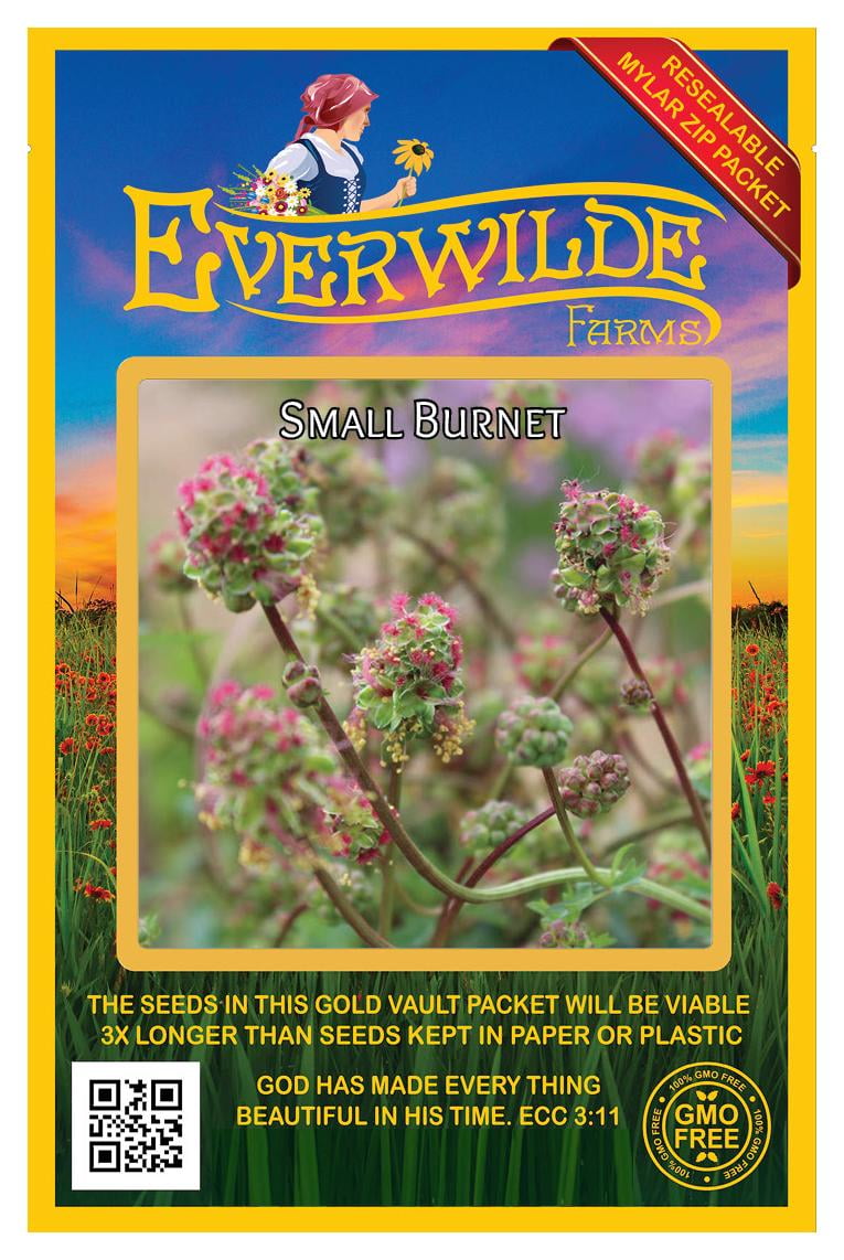 Everwilde Farms - 200 Small Burnet Native Wildflower Seeds - Gold Vault ...