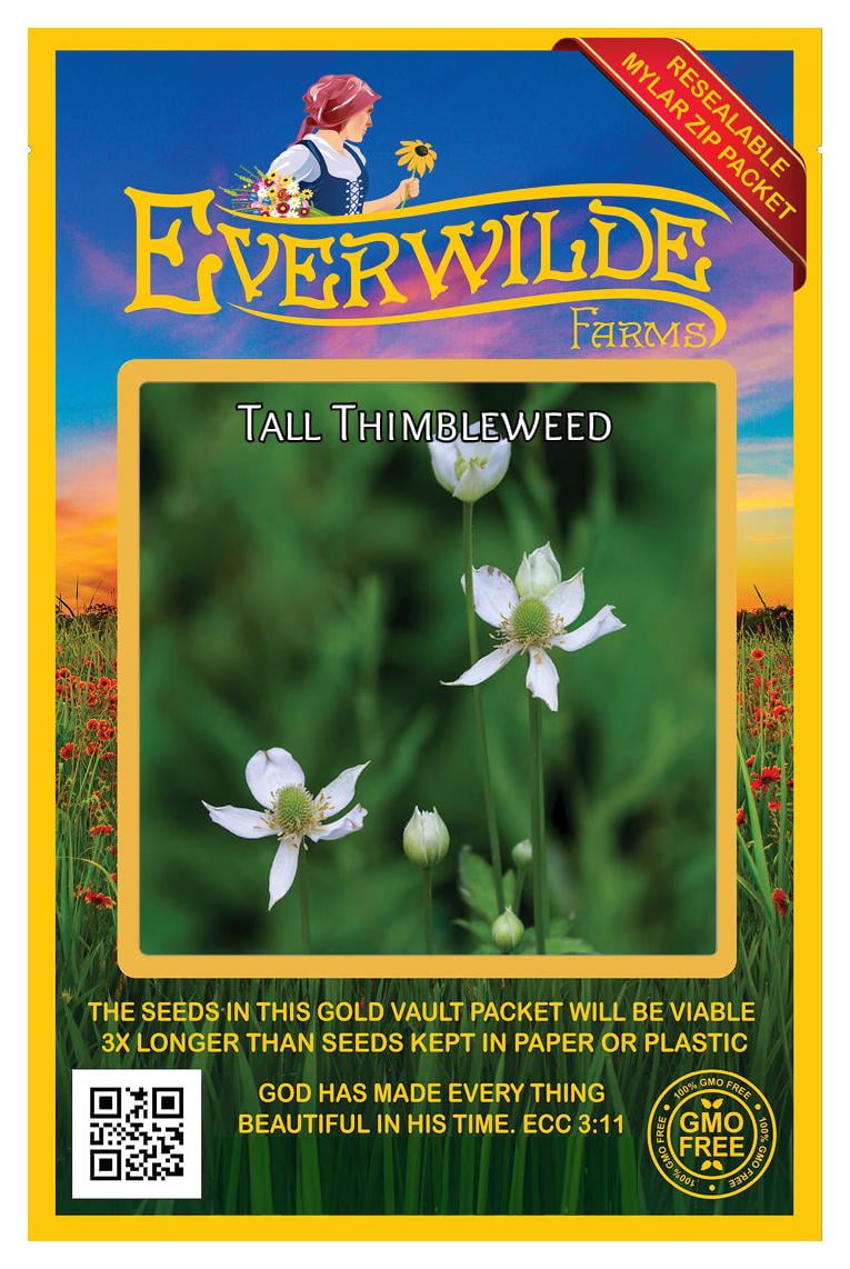 Everwilde Farms - 200 Tall Thimbleweed Native Wildflower Seeds - Gold ...