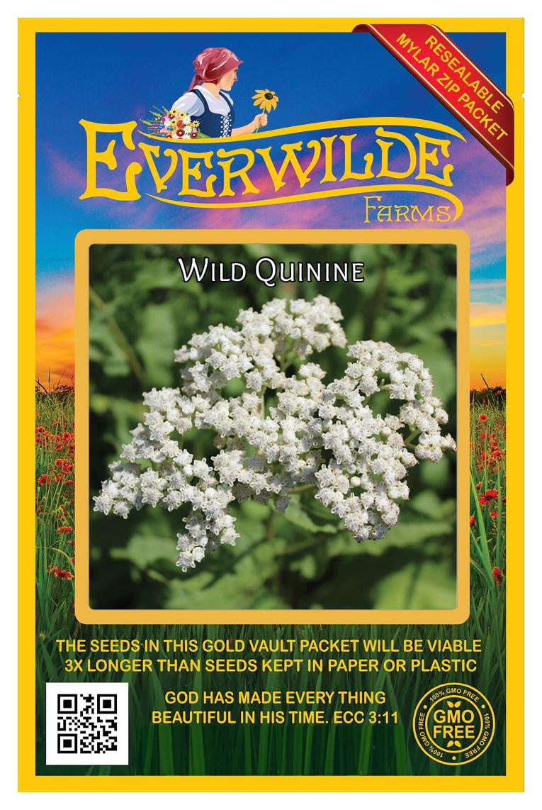 Everwilde Farms - 200 Wild Quinine Native Wildflower Seeds - Gold Vault ...