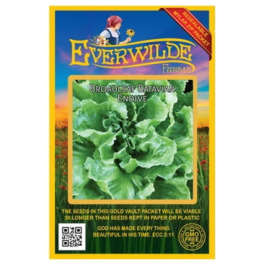 Everwilde Farms - 20 Jarrahdale Pumpkin Seeds - Gold Vault Jumbo Bulk ...