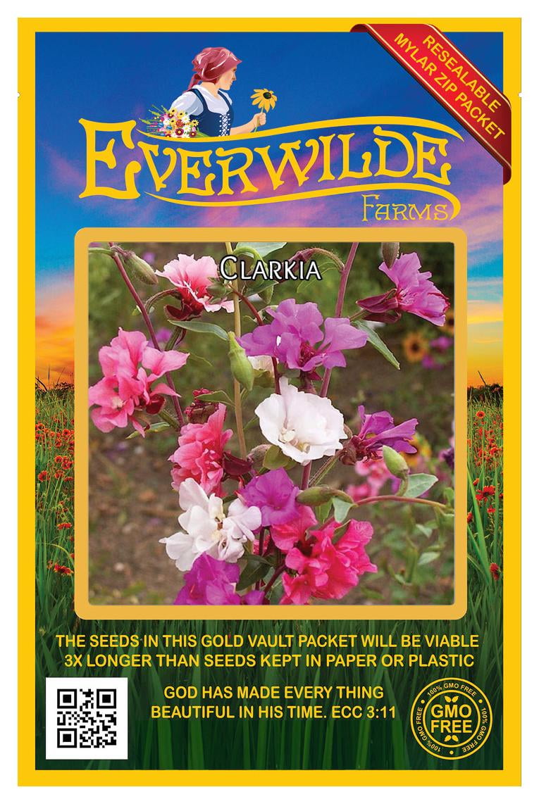 Everwilde Farms - 2000 Clarkia Native Wildflower Seeds - Gold Vault ...