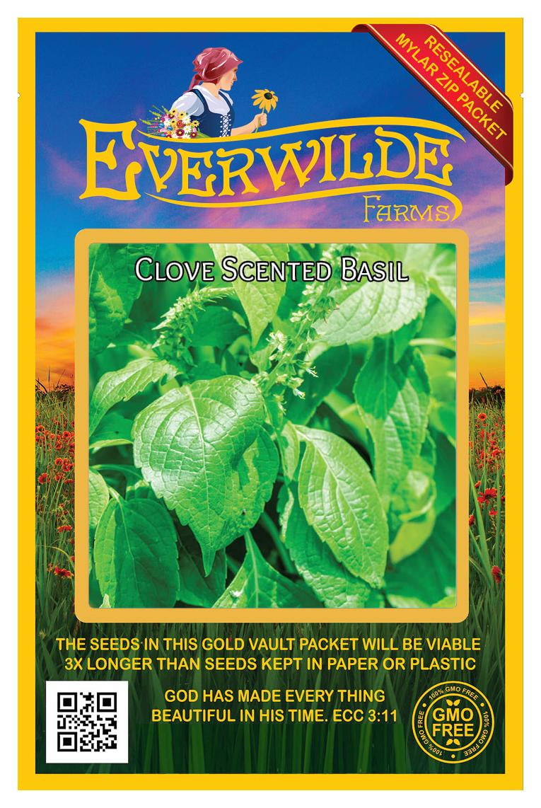 Clove Plant Seeds