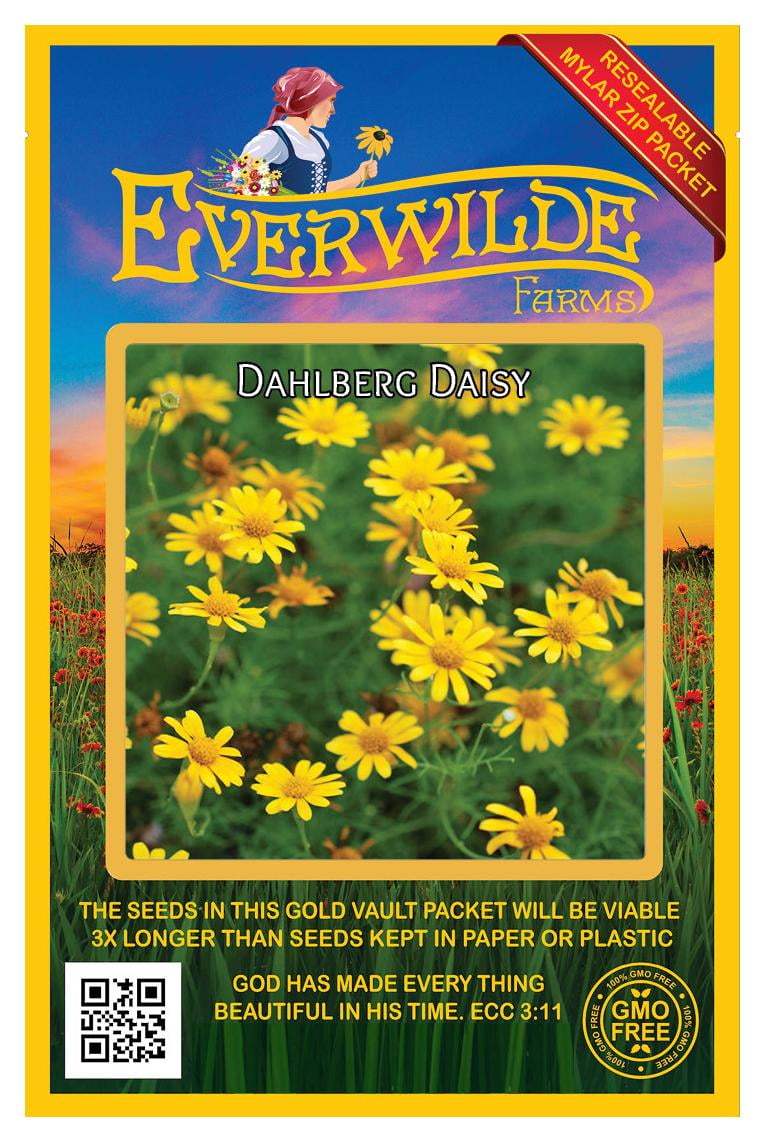 Everwilde Farms - 2000 Dahlberg Daisy Native Wildflower Seeds - Gold ...