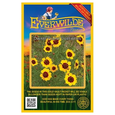 Everwilde Farms - 1000 Golden Wave Tickseed Native Wildflower Seeds ...