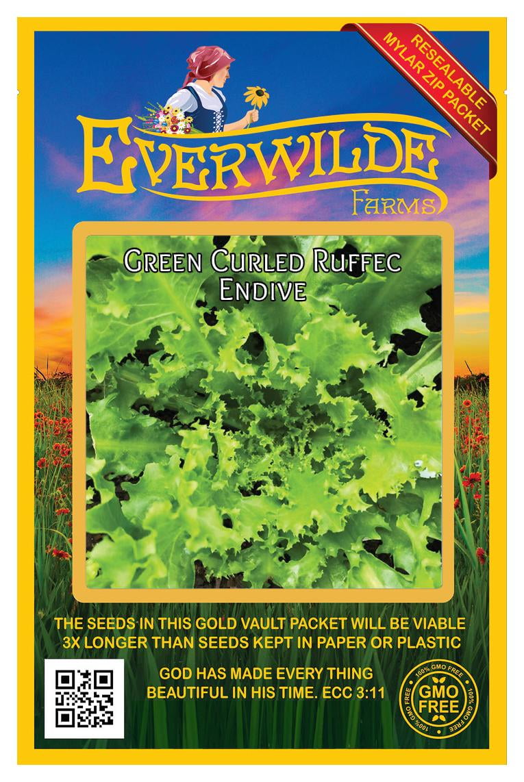 Everwilde Farms - 2000 Green Curled Ruffec Endive Seeds - Gold Vault ...