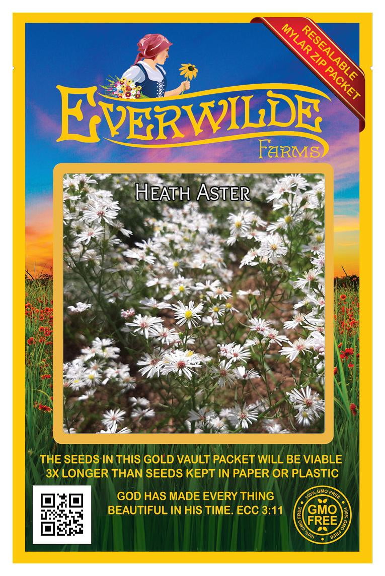 Everwilde Farms - 2000 Heath Aster Native Wildflower Seeds - Gold Vault ...