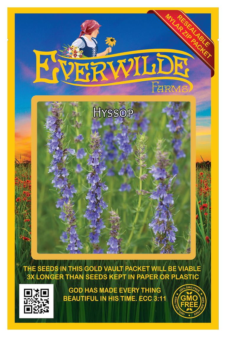 Everwilde Farms - 2000 Hyssop Herb Seeds - Gold Vault Jumbo Bulk Seed ...