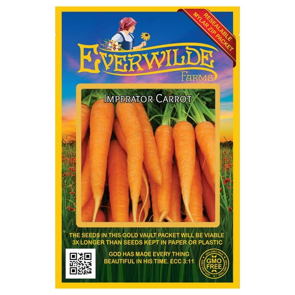Carrot Seeds in Seed Gardening - Walmart.com