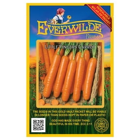 Vegetable Seeds-Little Fingers Carrot- 100 Seeds- Extra Sweet - Baby ...