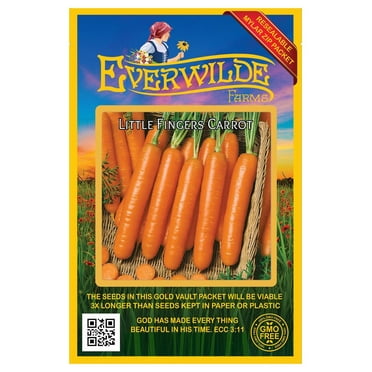 Vegetable Seeds-Little Fingers Carrot- 100 Seeds- Extra Sweet - Baby ...
