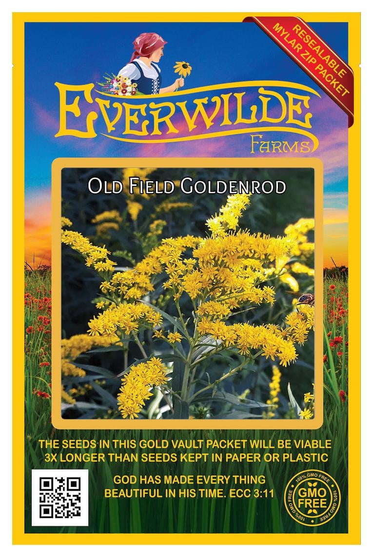 Everwilde Farms 2000 Old Field Goldenrod Flower Seed - Walmart.com