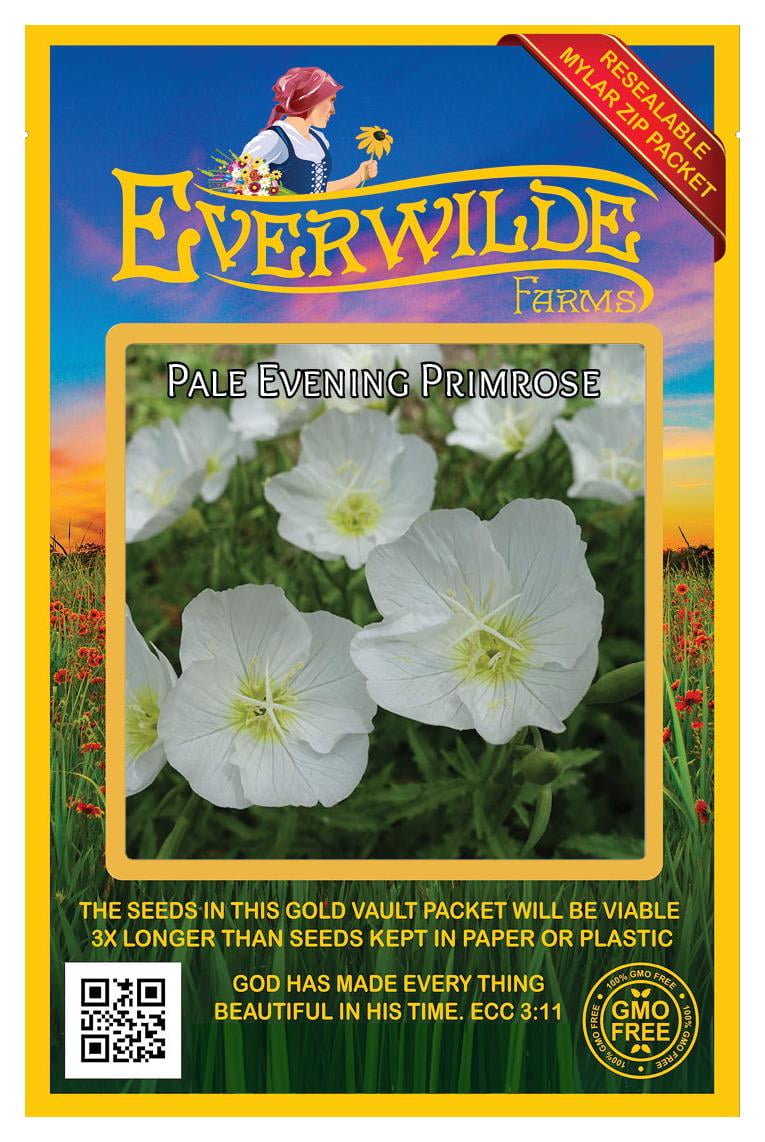 Everwilde Farms - 2000 Pale Evening Primrose Native Wildflower Seeds ...