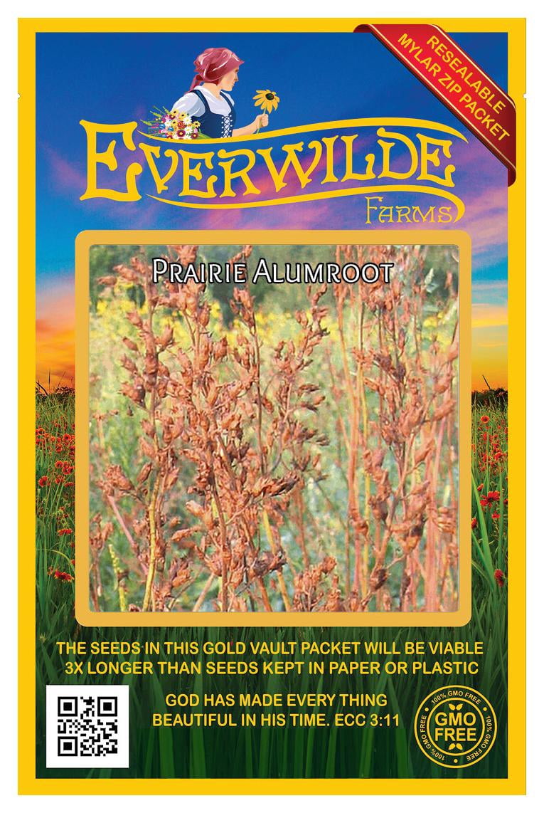 Everwilde Farms - 2000 Prairie Alumroot Native Wildflower Seeds - Gold ...