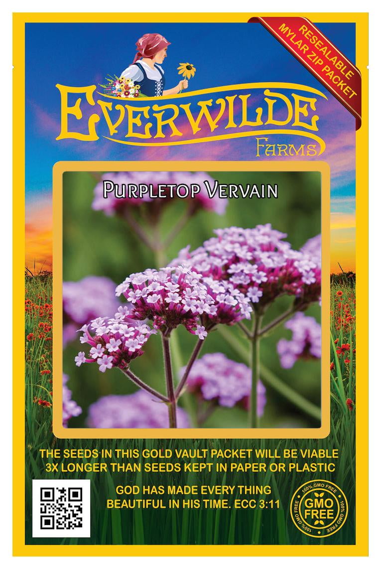 Everwilde Farms - 2000 Purpletop Vervain Wildflower Seeds - Gold Vault ...