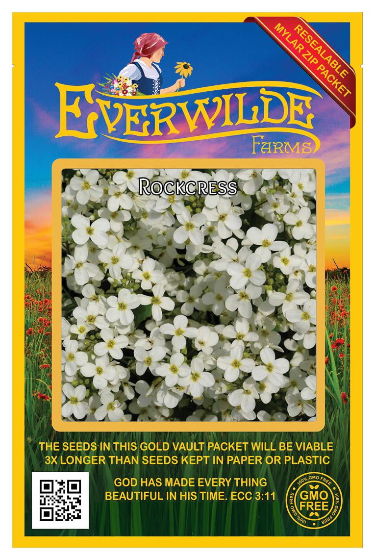 Everwilde Farms - 2000 Rockcress Native Wildflower Seeds - Gold Vault ...