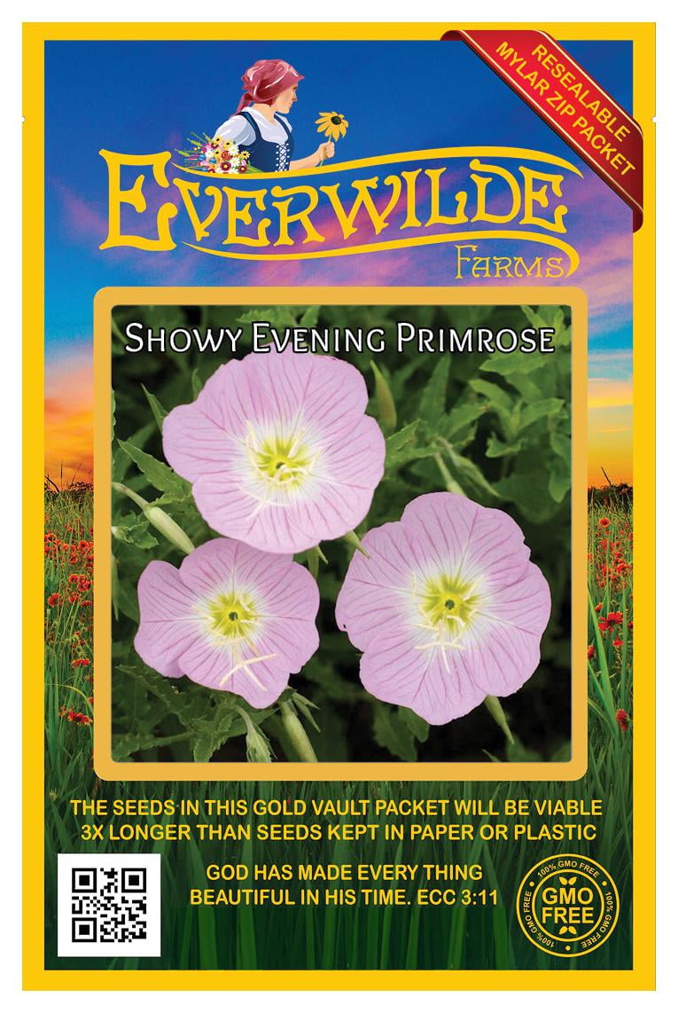 Everwilde Farms - Showy Evening Primrose Native Wildflower Seeds for ...