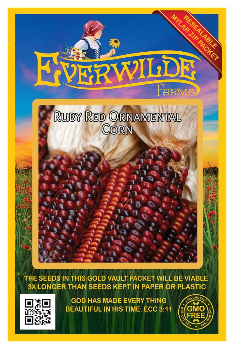 Everwilde Farms - 50 Ruby Red Ornamental Corn Seeds (Treated) - Gold ...