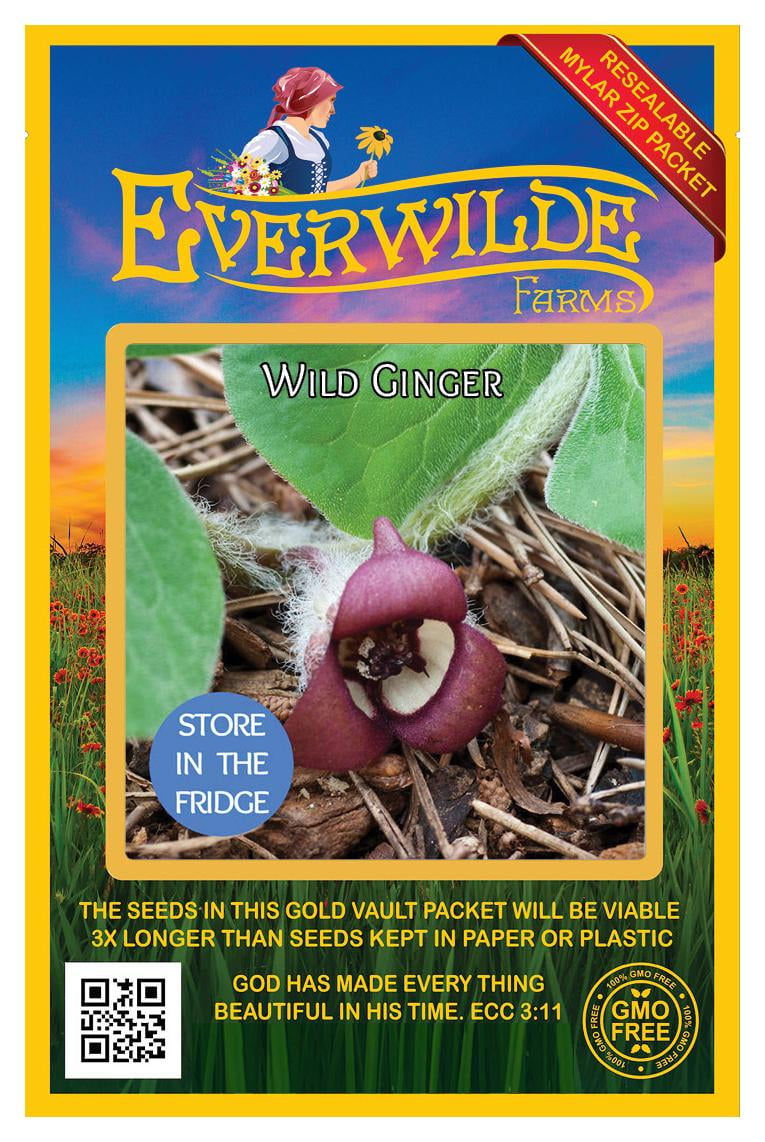 Everwilde Farms 25 Wild Ginger Flower Seeds, Native Resealable Mylar ...