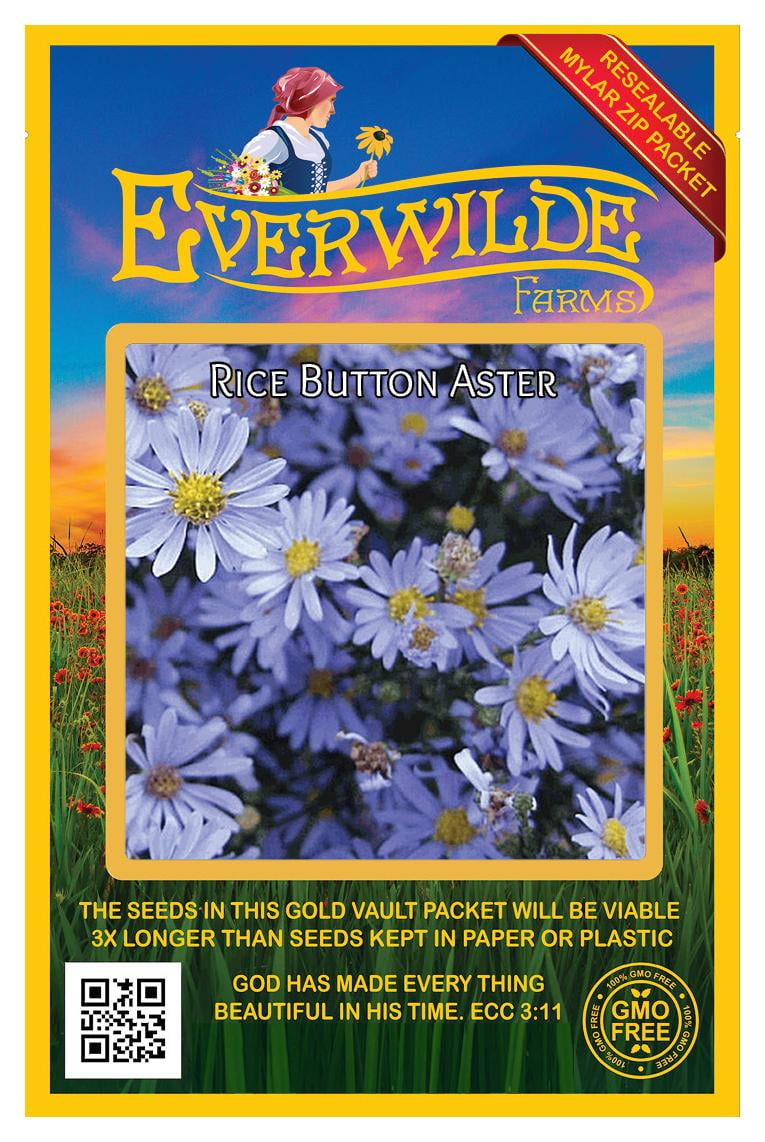 Everwilde Farms - 250 Rice Button Aster Native Wildflower Seeds - Gold ...