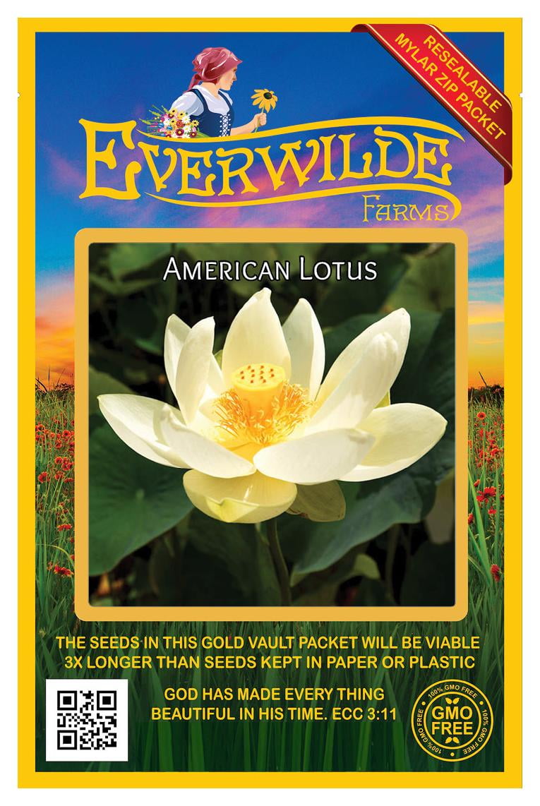 Everwilde Farms - 3 Perennials American Lotus Native Wildflower Seeds ...