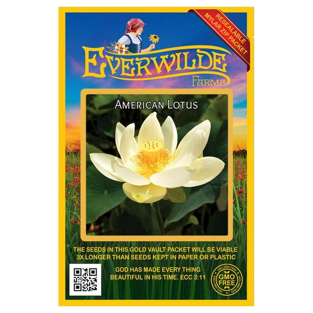 Everwilde Farms - 3 American Lotus Native Wildflower Seeds - Gold Vault ...