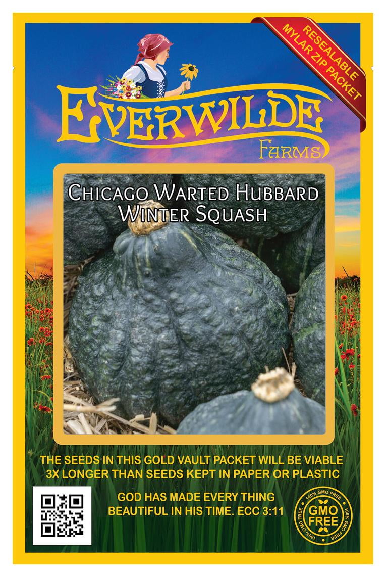 Everwilde Farms - 20 Chicago Warted Hubbard Winter Squash Seeds - Gold ...