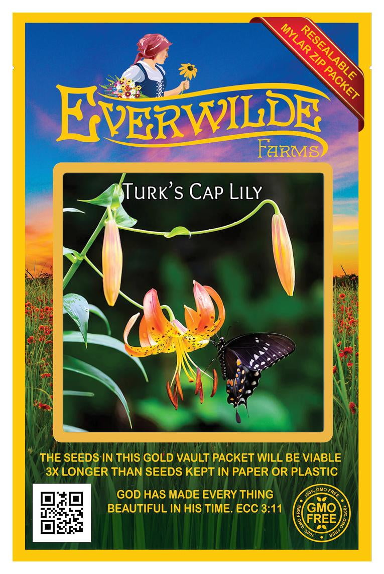 Everwilde Farms - 30 Turk's Cap Lily Native Wildflower Seeds - Gold ...