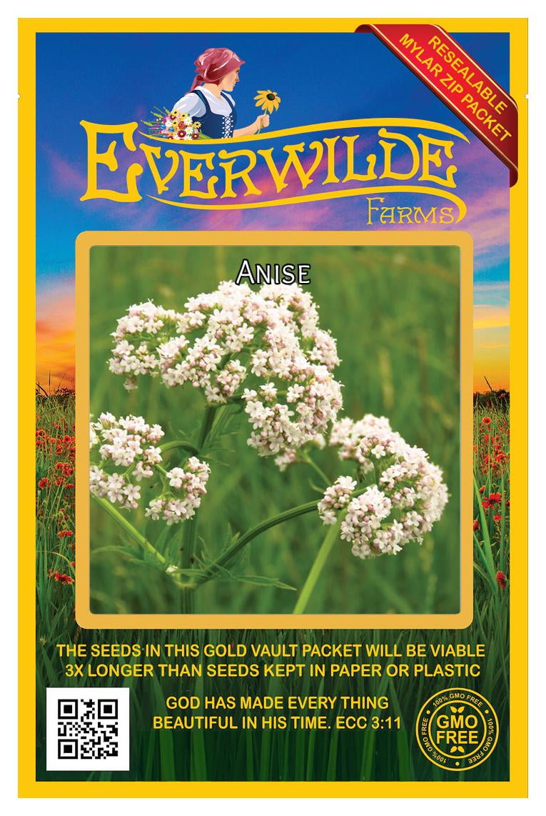 Everwilde Farms - 300 Anise Herb Seeds - Gold Vault Jumbo Bulk Seed ...