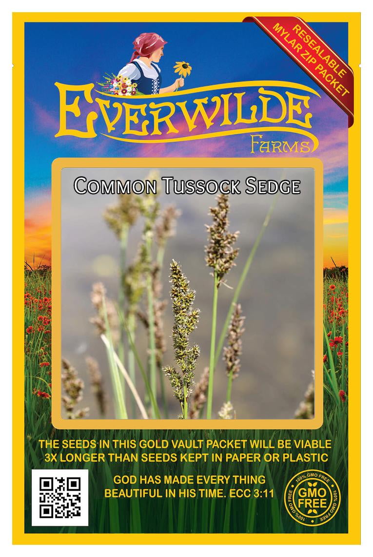 Everwilde Farms - 300 Common Tussock Sedge Native Grass Seeds - Gold ...